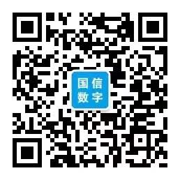 国信数字（湖南）产业发展有限公司